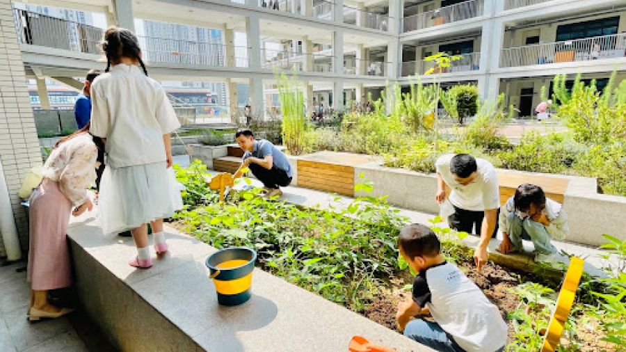 Community Engagement in School-Based Environmental Education | eePRO