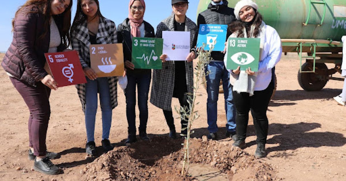 Get to Know the Association for the Advancement of Sustainability in ...