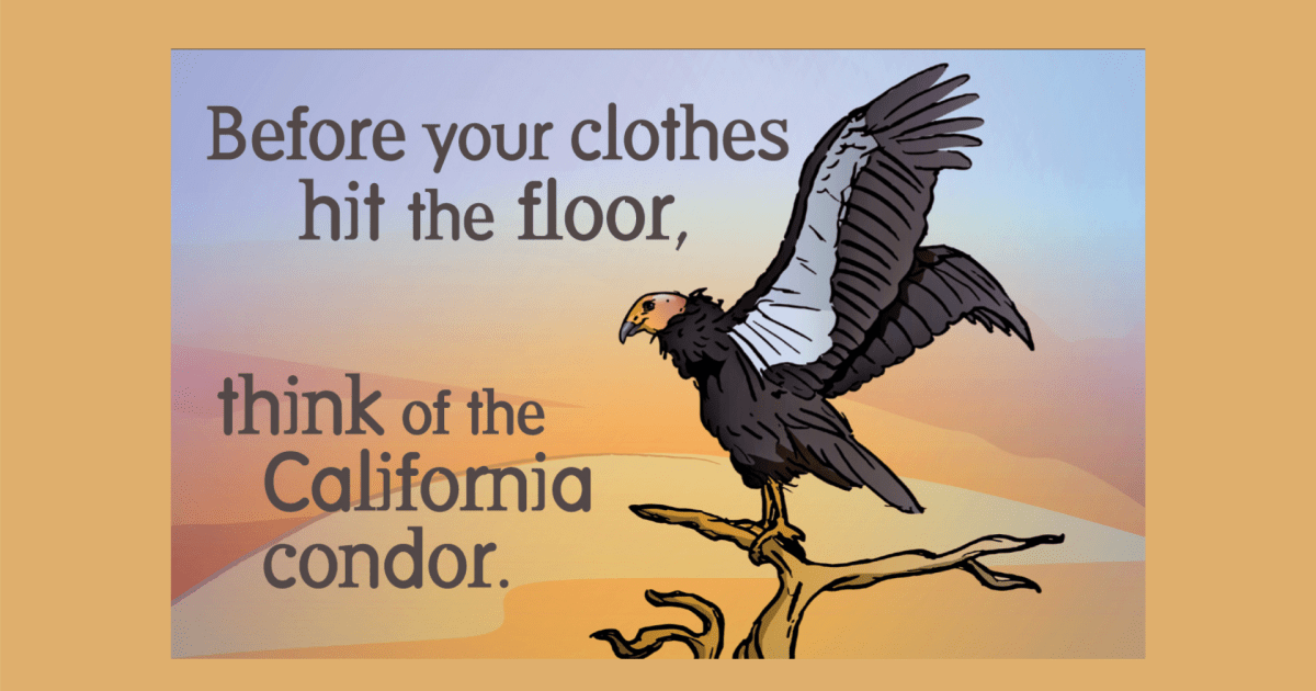 Environmental non-profits are missing a critical piece of the wildlife ...