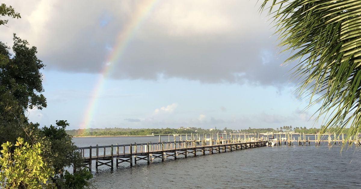 Understanding Invisible Energies for Children of All Ages | eePRO