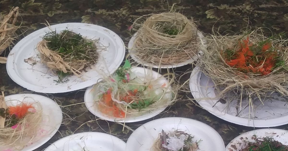 E-STEM in the Classroom: Building Bird Nests | eePRO