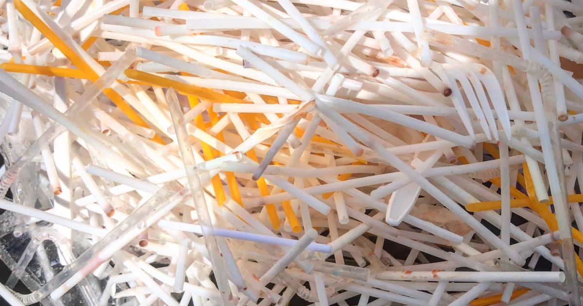 Cities and businesses are skipping the straw: What about schools? | eePRO