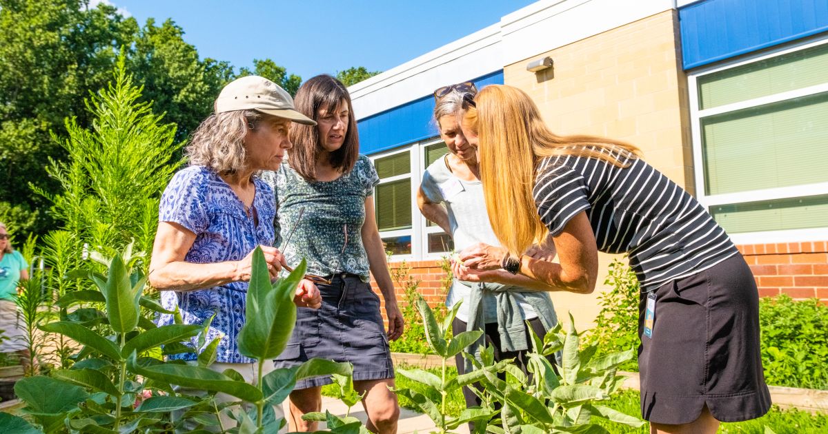 Practical Tips for Teaching Effectively Outside | eePRO