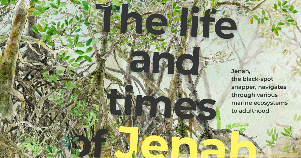 Animating the Marine Environment Through “The Life and Times of Jenah ...