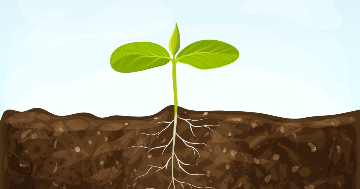 The Unbe-leaf-able Guide to Sprouting a Career in Environmental ...