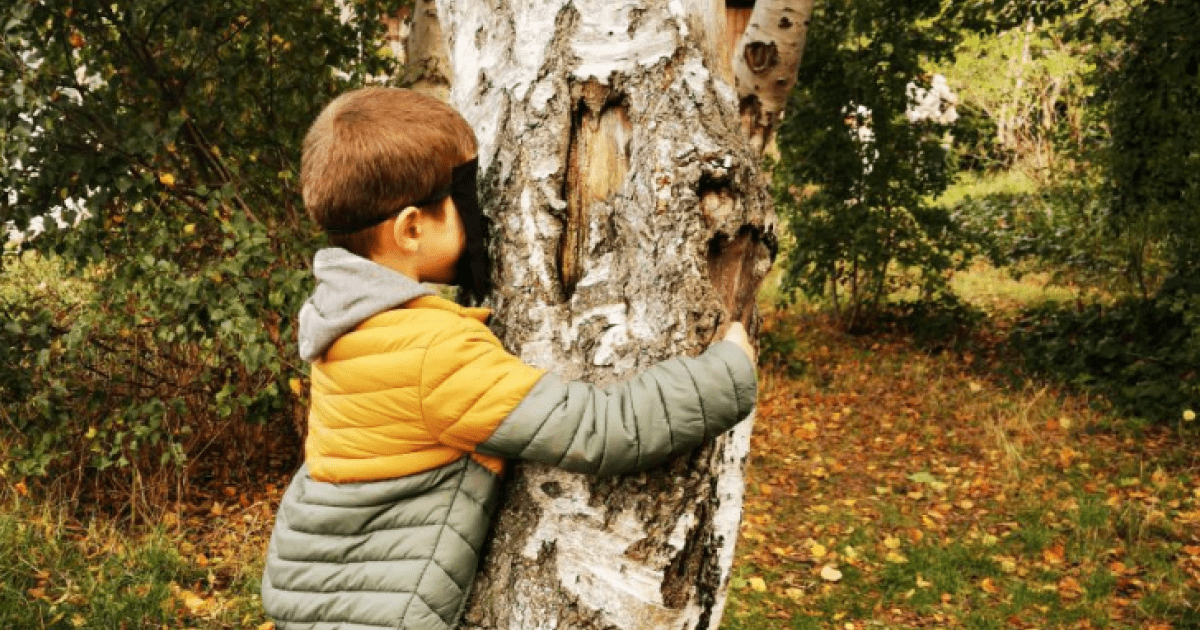 Learning About Forests: Outdoor Education Activities for Schools | eePRO