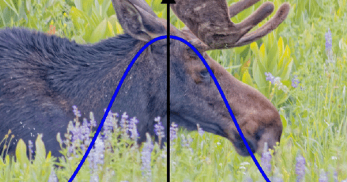 Introduction To Ecological Modeling In R Online Eepro