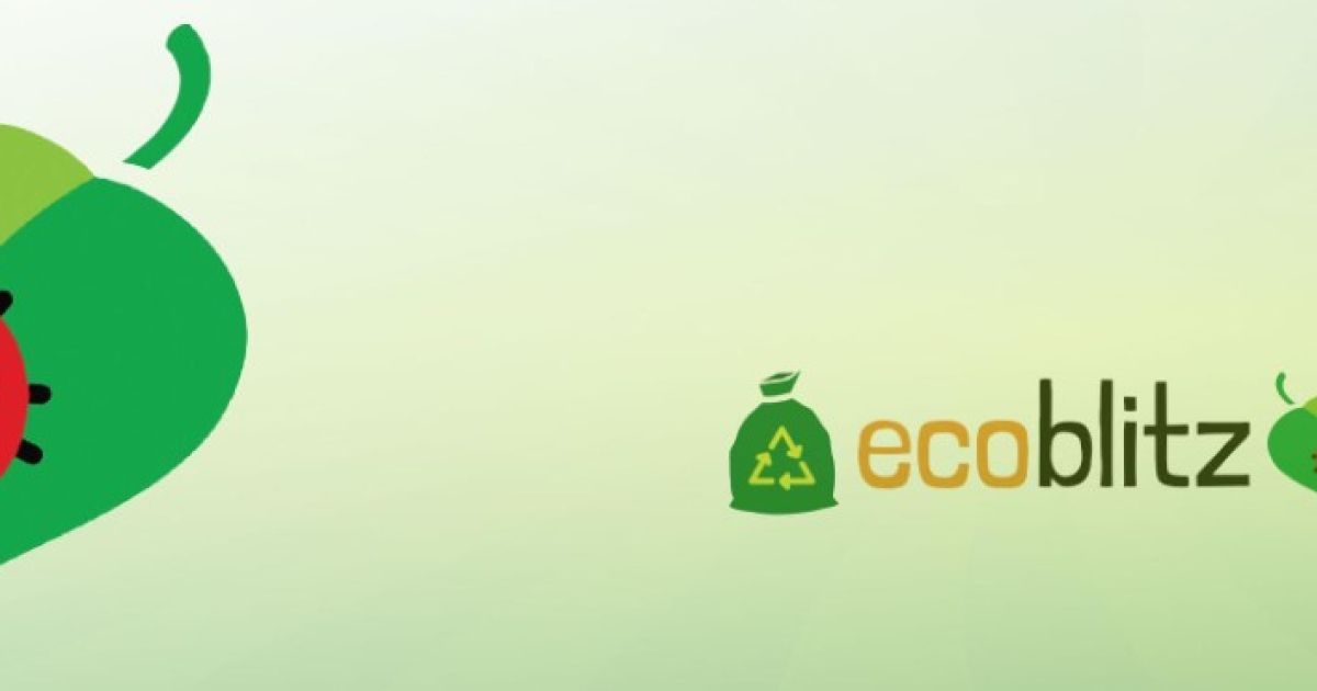 EcoBlitz Microcredential | eePRO