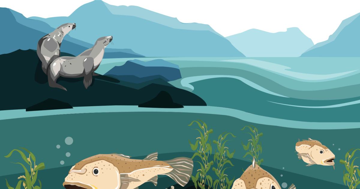 Ocean Wise Átl’ḵa7tsem/Howe Sound Education Kit | eePRO