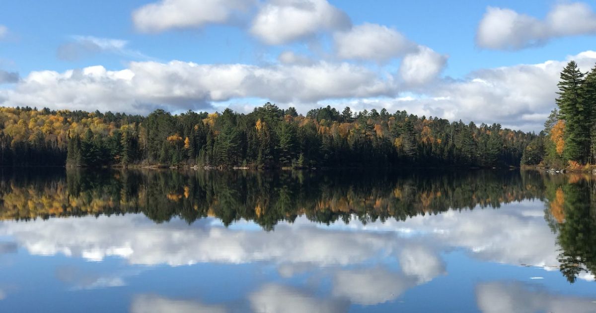 Climate Emergency: Feedback Loops | eePRO