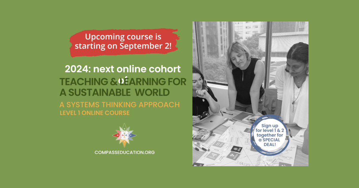 Systems Thinking & Sustainability PD for Educators | eePRO