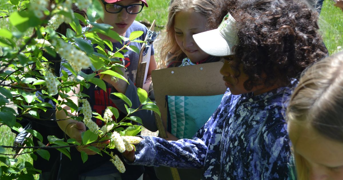The Compass to Nature: Teaching in the Outdoor Classroom, a 7-week ...