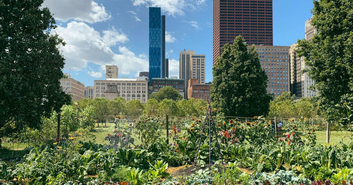 Applications Open: Emerging Urban Leaders (EUL) Cohort Program | eePRO