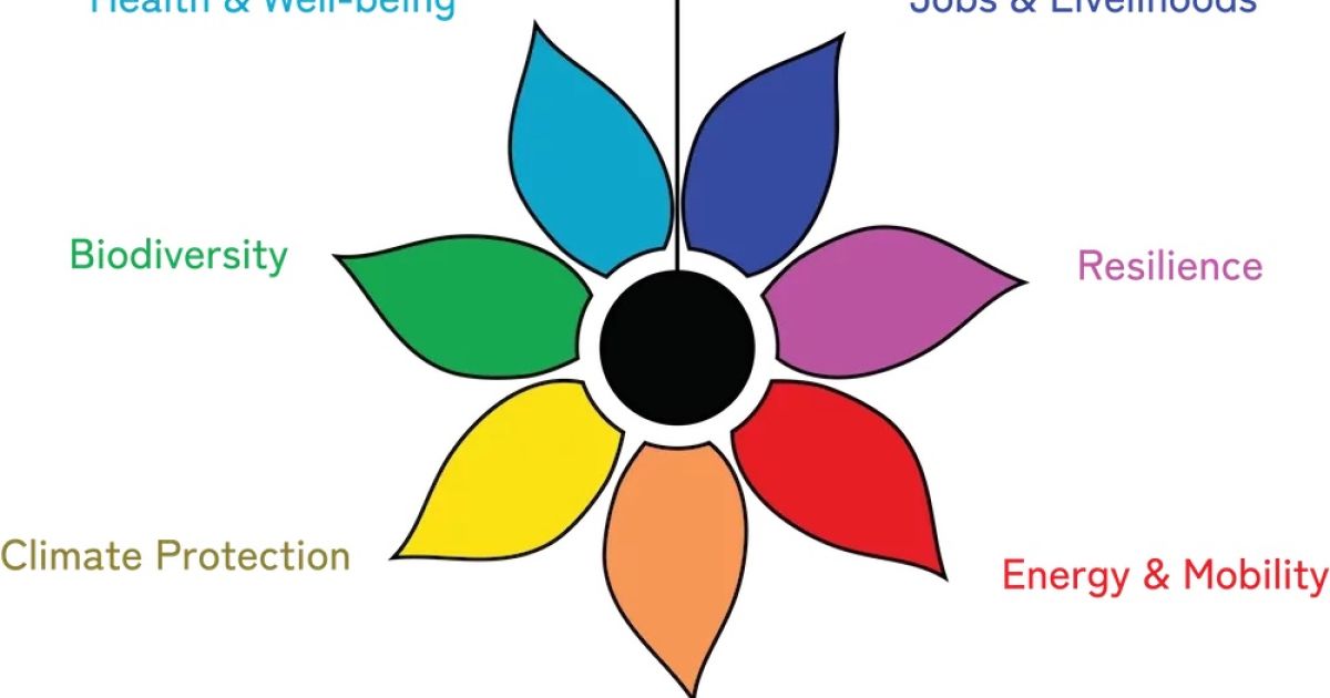 Multisolving with the FLOWER Model | eePRO