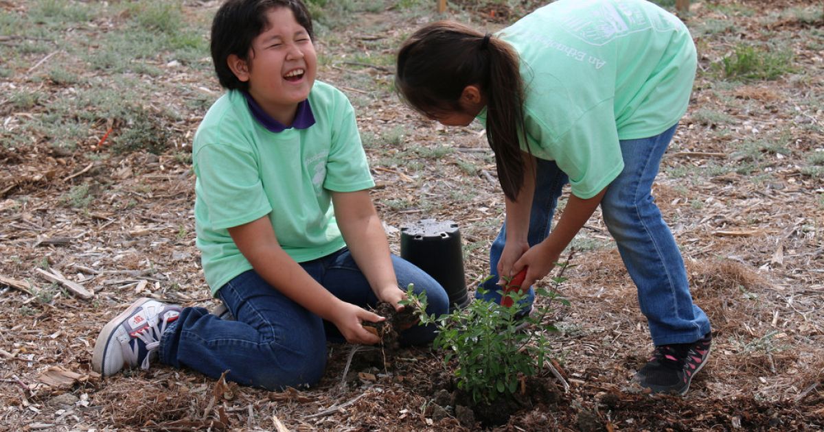 Students' Guide to Global Warming | eePRO