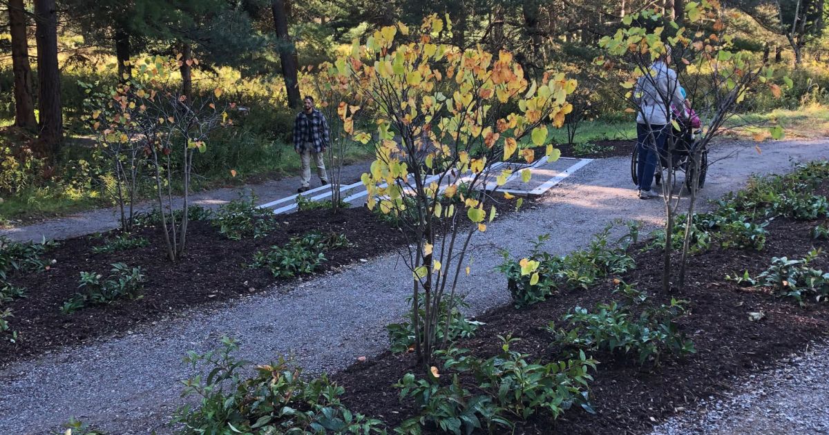 Access Nature: Inclusion in the Outdoors | eePRO