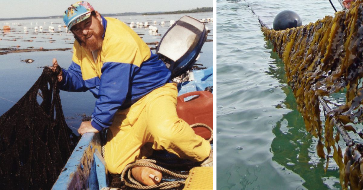 Algae Cultivation Extension Short-Course (ACES): Part 1: Macroalgae | eePRO