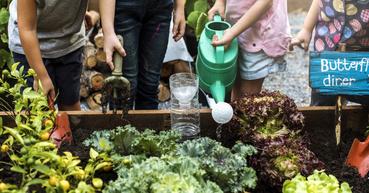 Nature of Teaching: Food Waste Curriculum | eePRO