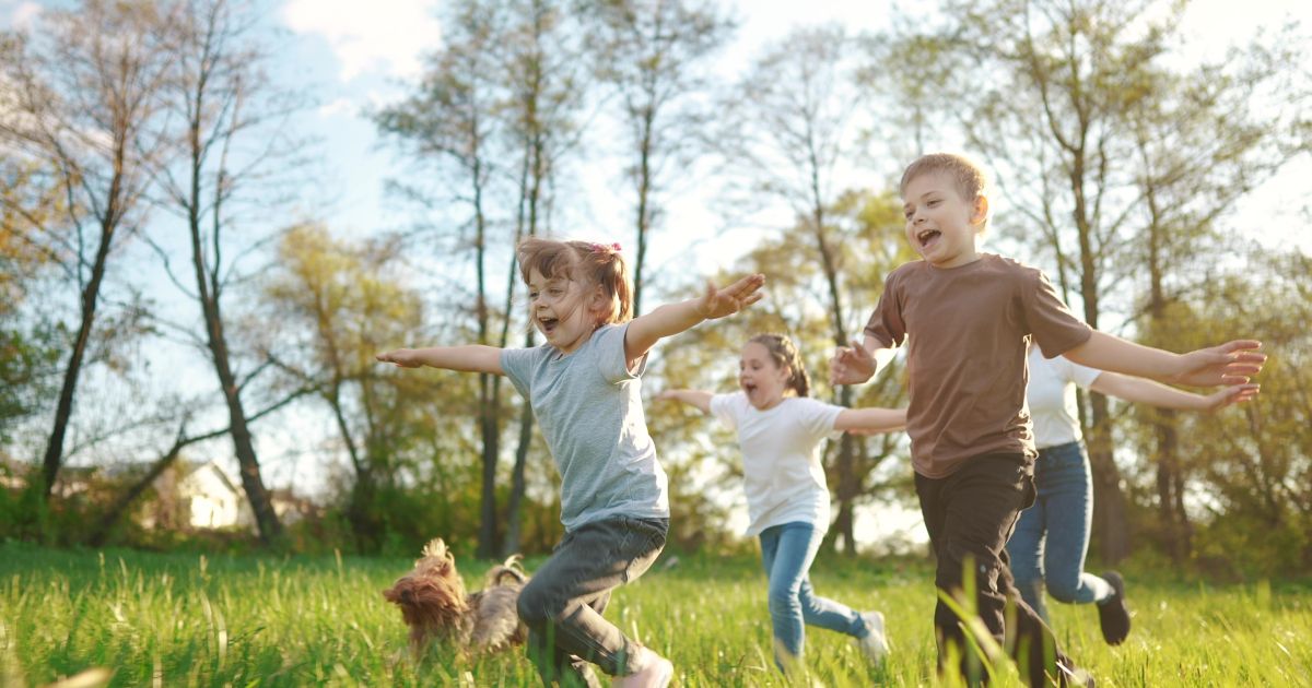 Embodying Fun Climate Activities that Inspire the Processing of ...