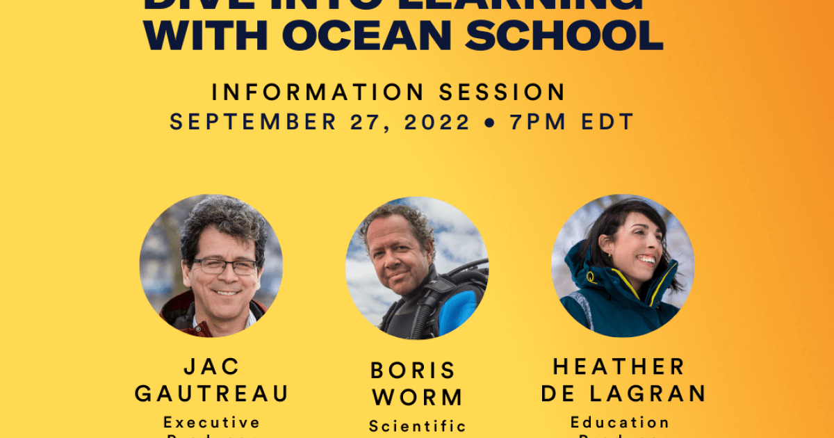 Dive Into Learning With Ocean School! | eePRO
