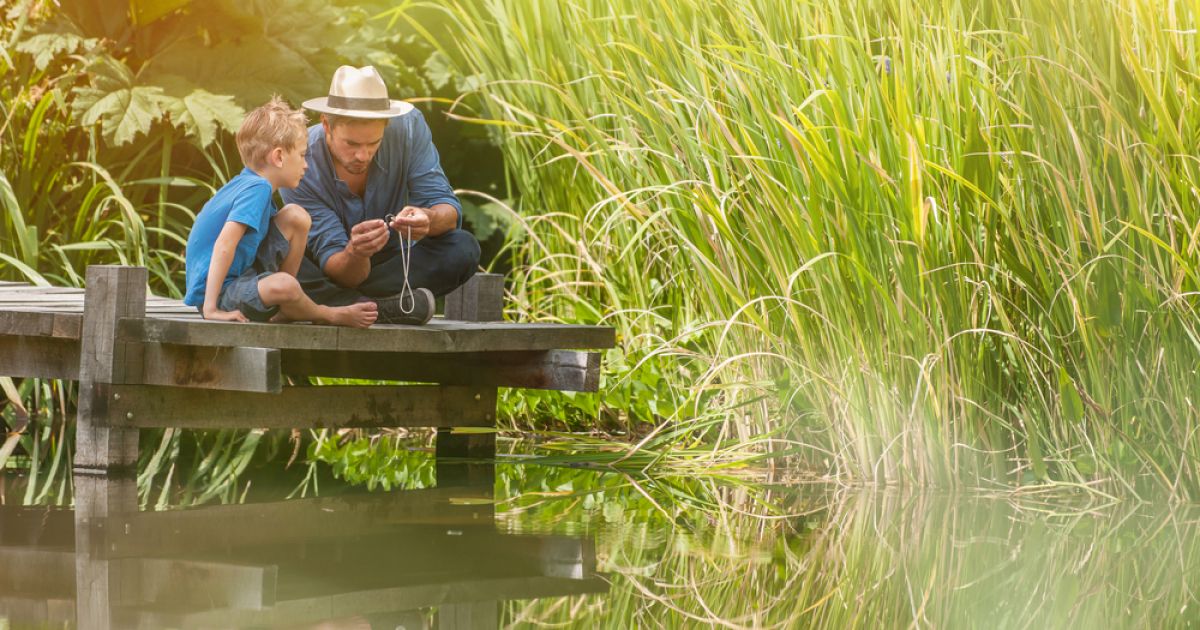 Natural Start Alliance Webinar Certificate : Early Childhood STEM: Nature-Based Learning Indoors ...