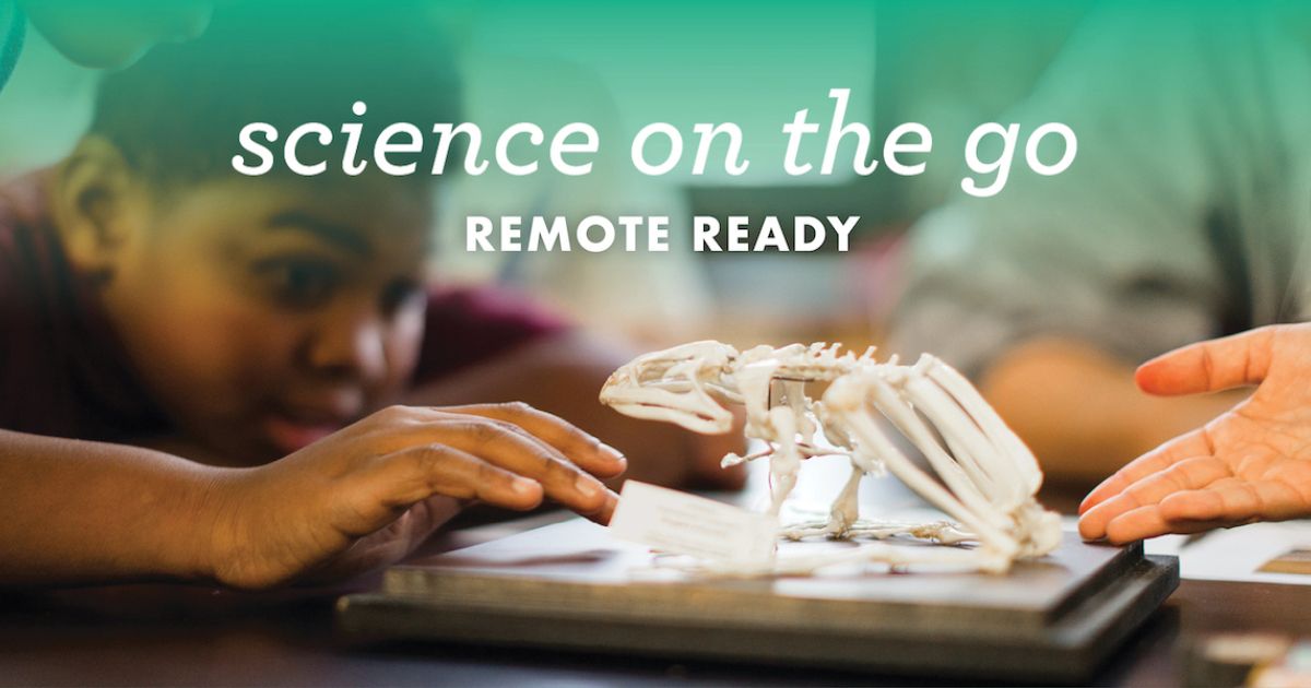 Summer Remote Science on the Go: Online Teacher Professional ...