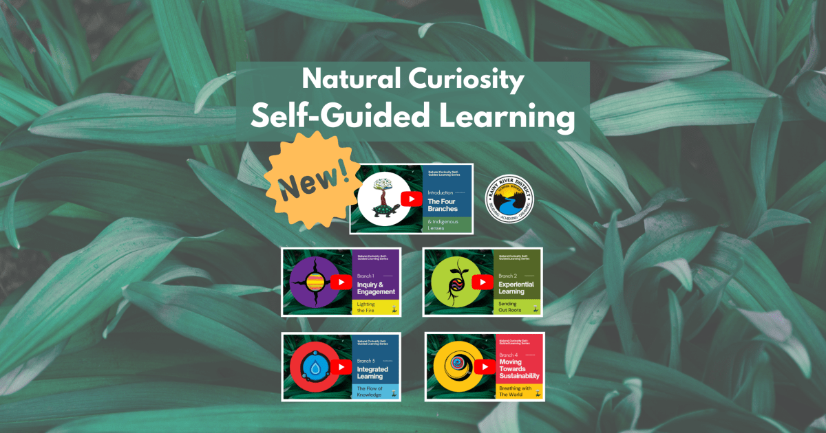Natural Curiosity Self-Guided Learning Series | eePRO