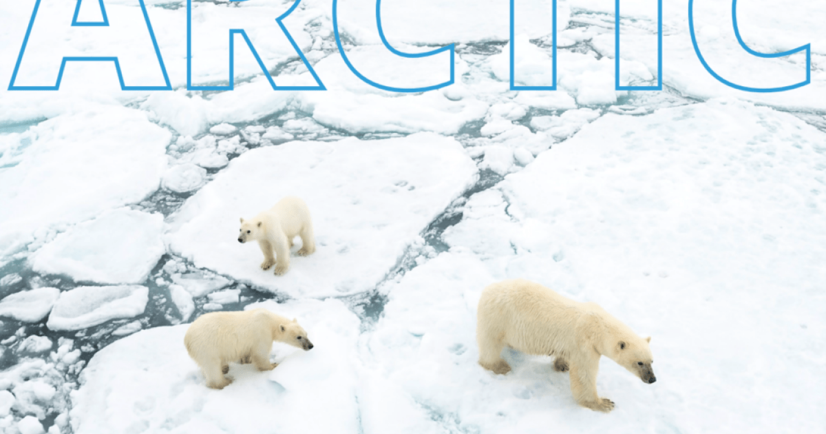 Teaching Tools about the Arctic Ecosystem | eePRO
