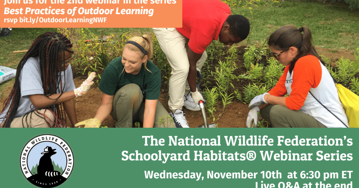 Best Practices of Outdoor Learning: What Does It Mean to Move from an ...